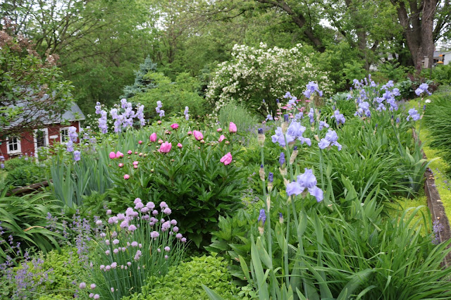 Amy's Creative Pursuits: My Mid-Spring Garden 2019