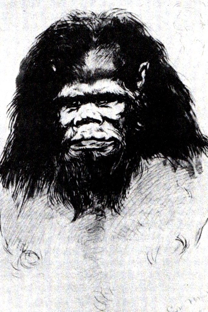 Terbaru - Manusia Purba Di Indonesia - Mutzvera