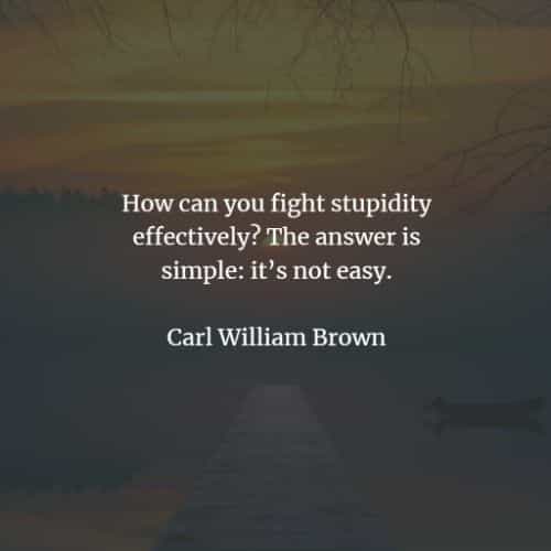 65 Stupidity quotes and sayings that will open your mind