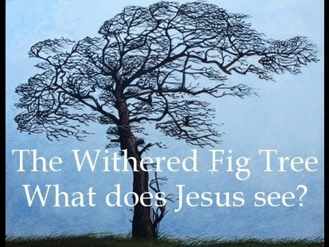 LiturgyTools.net: Pictures for the 3rd Sunday in Lent, Year C