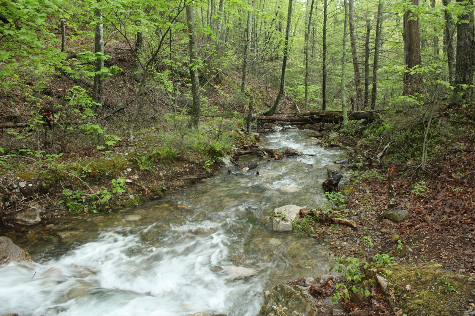 Hiking Shenandoah: Riprap Trail