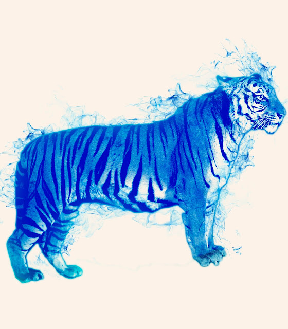 Praveen's Photoshop works: Amazing Tiger image manipulation.