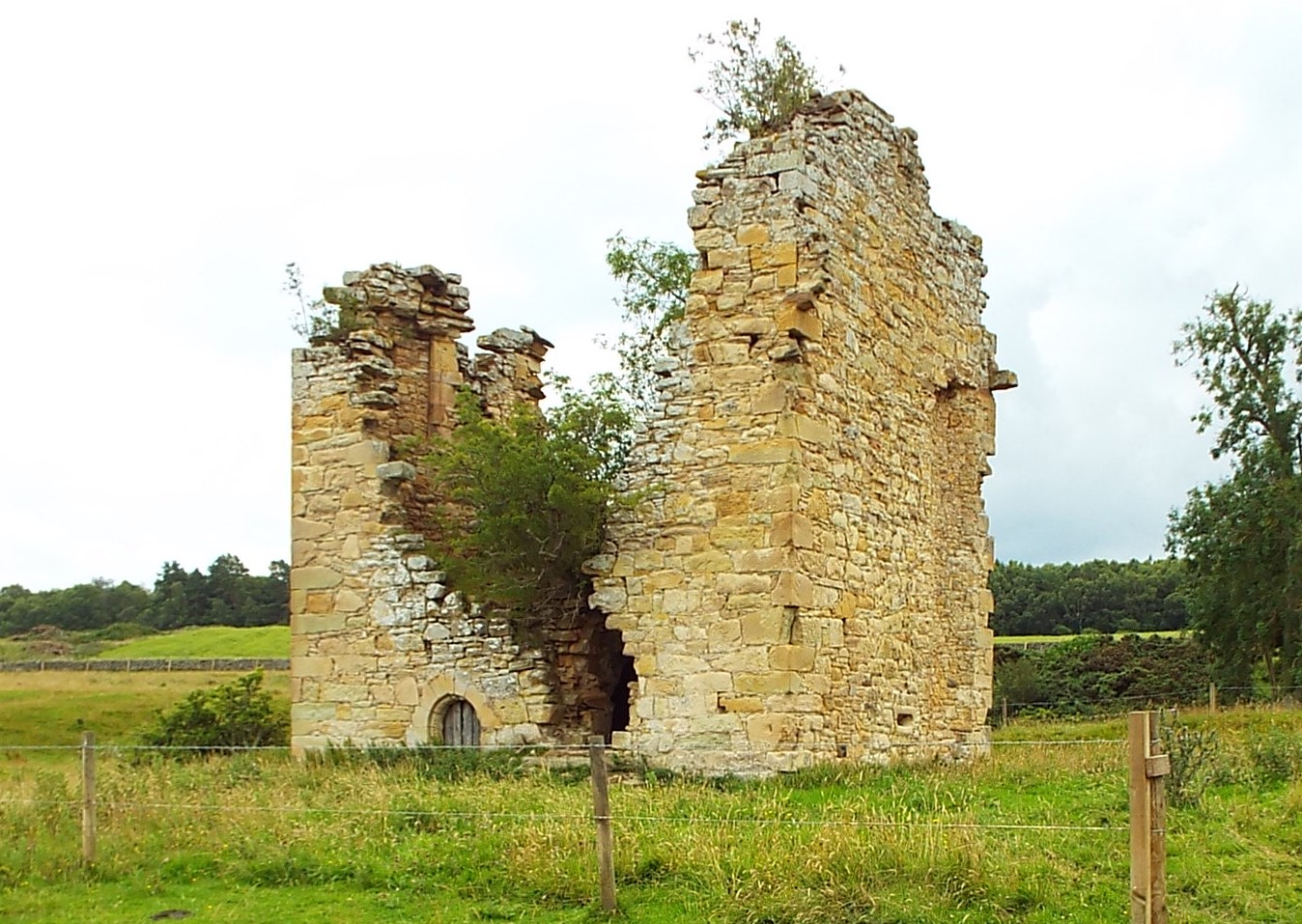 Reinterred: Jedburgh to Harestanes Walk