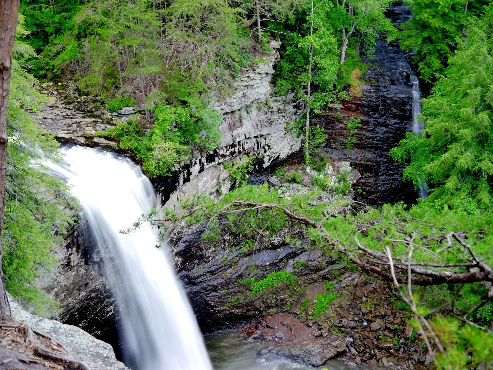 American Travel Journal: Climbers Loop Trail at Foster Falls - South ...