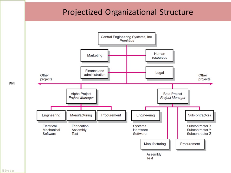 Unit I, Establishing Project Organisation