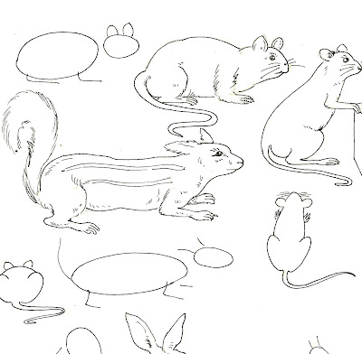 studentsdrawing: ANIMAL,OUTLINE DRAWING