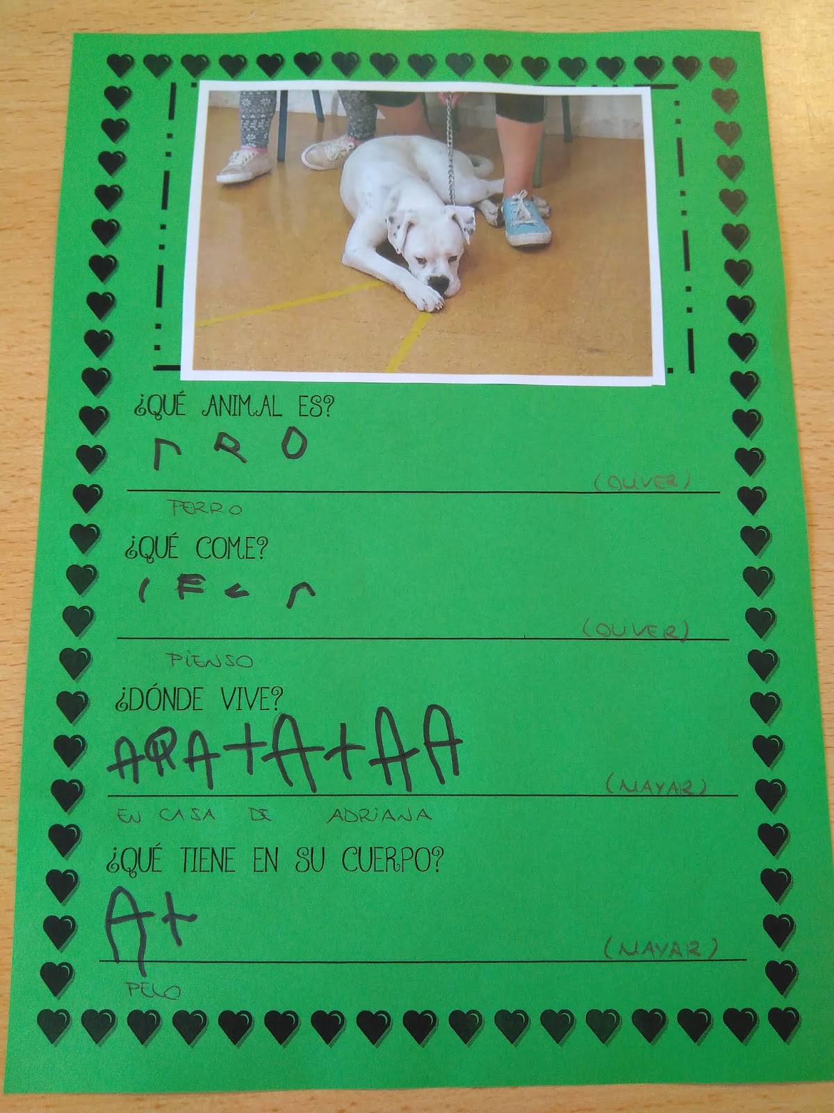 CAMINITOS DE ILUSIÓN: NUESTRO LIBRO DE MASCOTAS