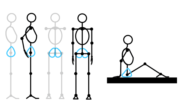 Human Anatomy & Ergonomics