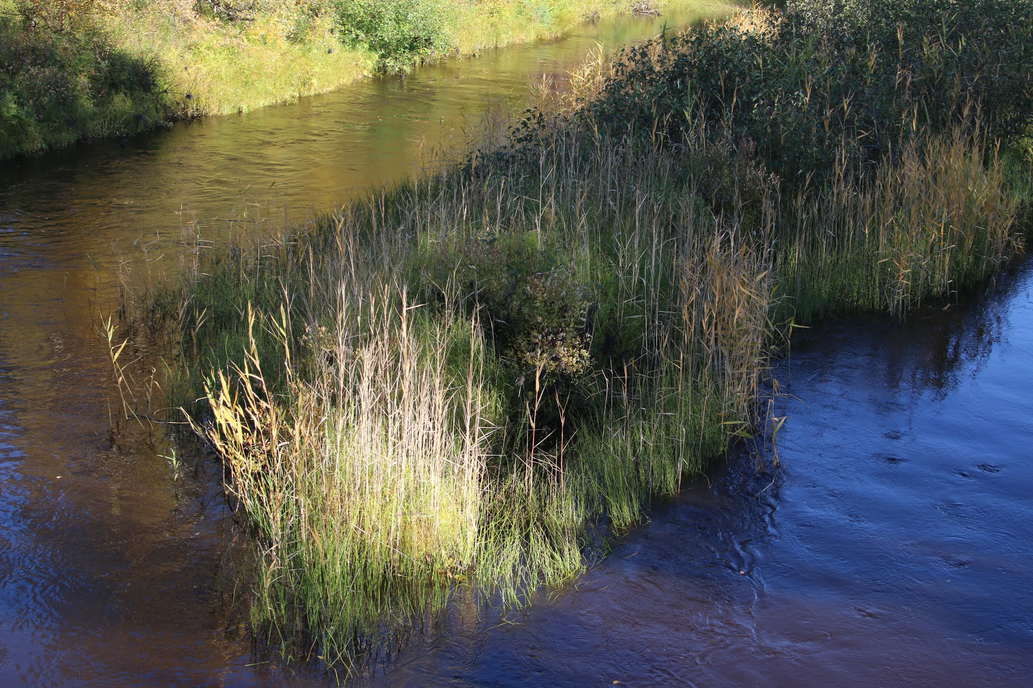 Kahvila Babylon: Lappi ruska porot tunturit reissaaminen Levi Tonttula ...