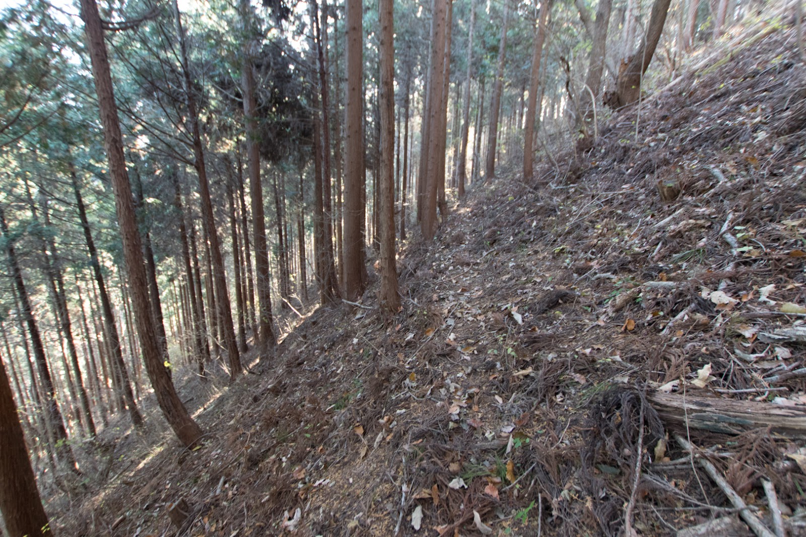 Kurahone Castle -Castle looked down backgammon like battlefield from ...