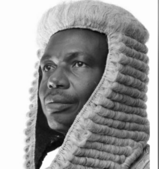 Boycott June 12th Celebration Over Twitter Ban Ebun Adegboruwa Tells boycott-june-12th-celebration-over-twitter-ban-ebun-adegboruwa-tells
