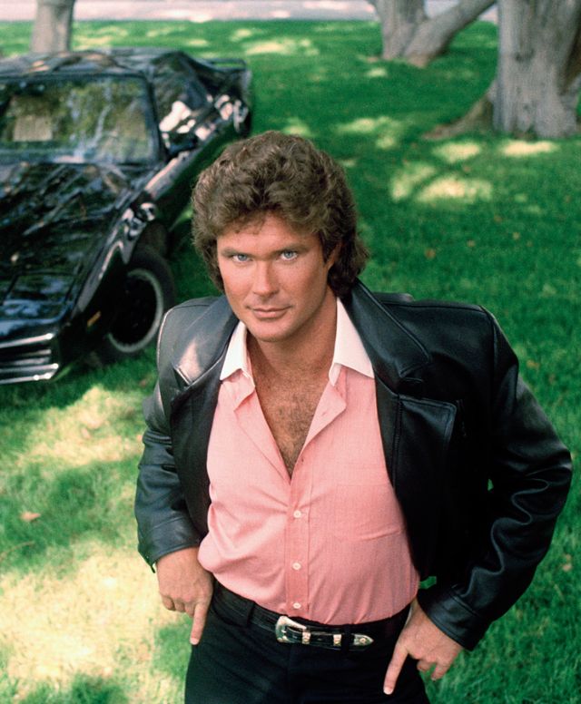 Don't Hassle The Hoff! 30 Cheesy Portraits of David Hasselhoff Like You Have Never Seen ...