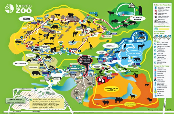 One Month Until Toronto! | Pinafores and Pies