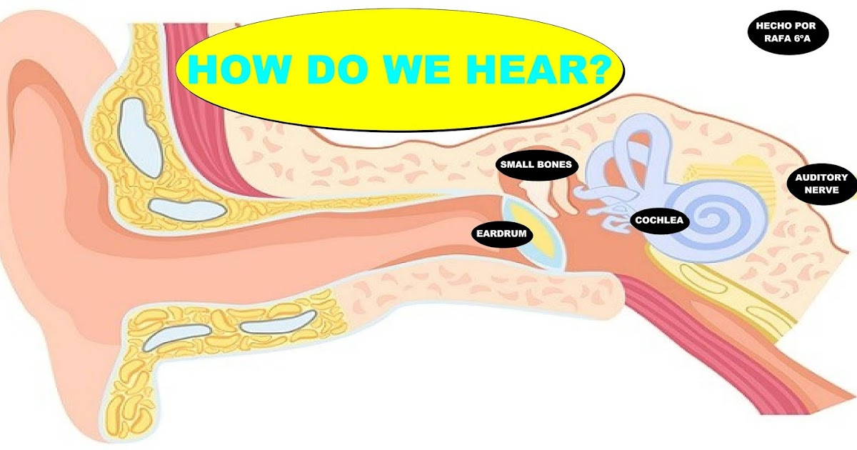 EL BLOG DE LOS SEXTOS HOW DO WE HEAR el-blog-de-los-sextos-how-do-we-hear