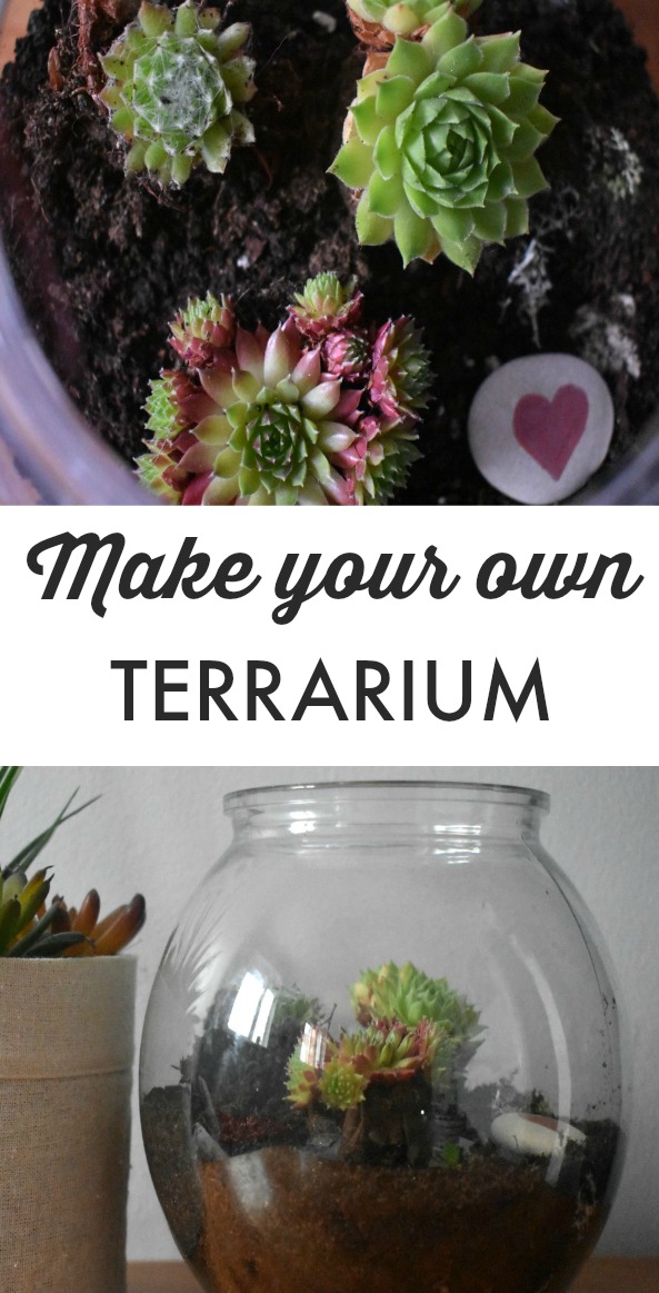 Make Your Own Terrarium! {Tutorial} - Whimsical Mumblings