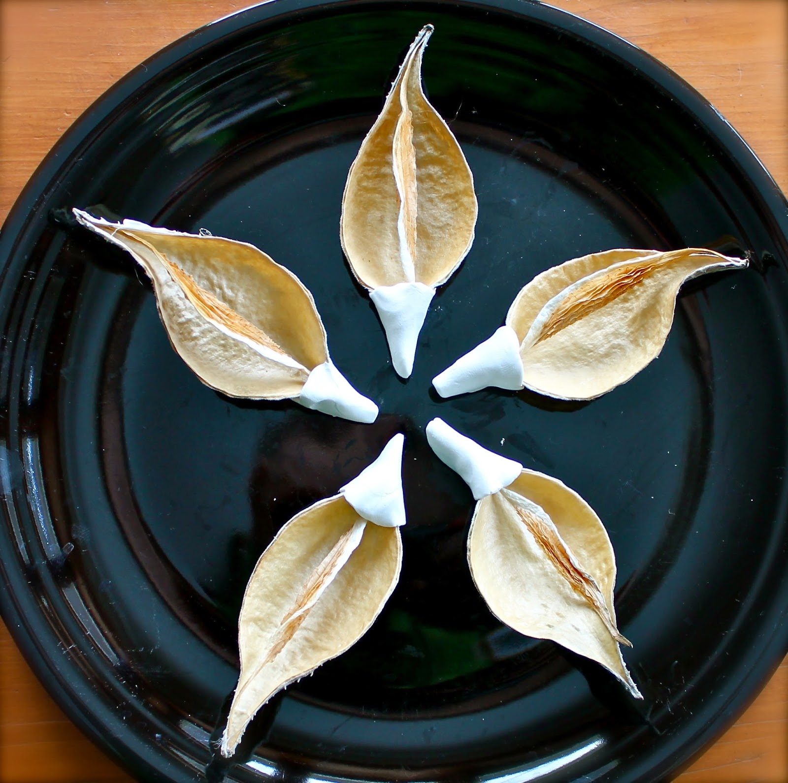 Twig and Toadstool: Milkweed Pod Flowers