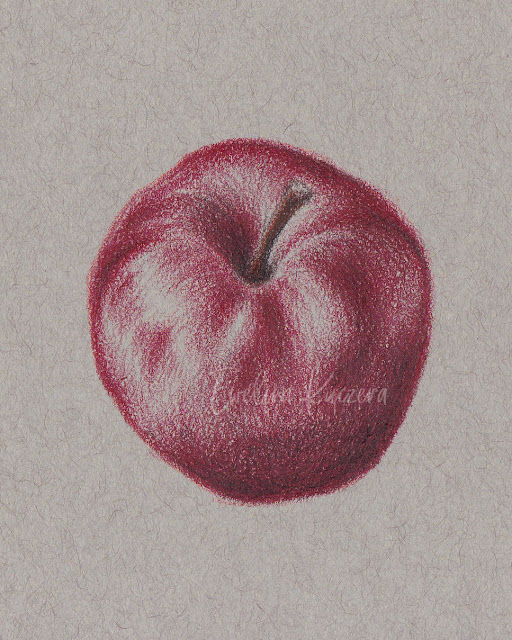 How to draw an apple with colored pencils - step by step tutorial ...
