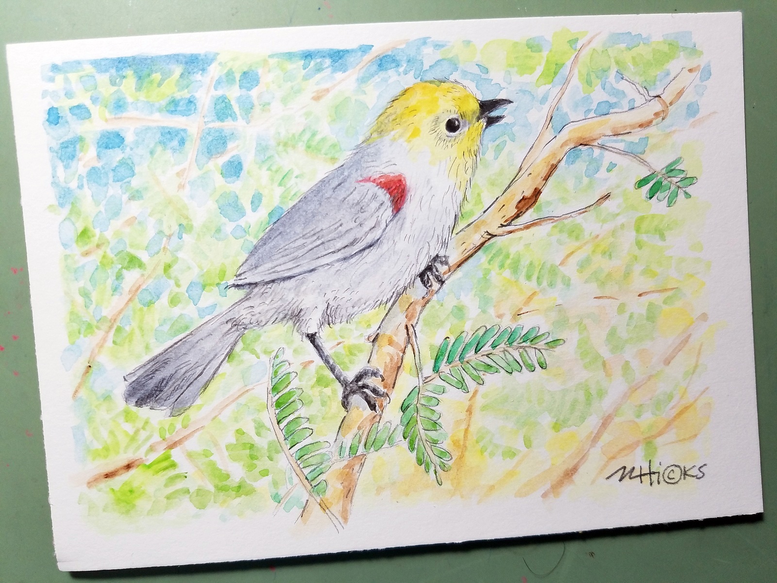 Carefree Artist: Delicate Sounds of Nature