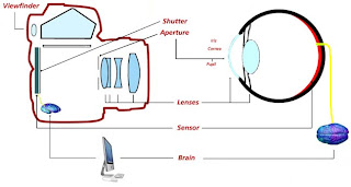 Betweens: Between Eye and Camera