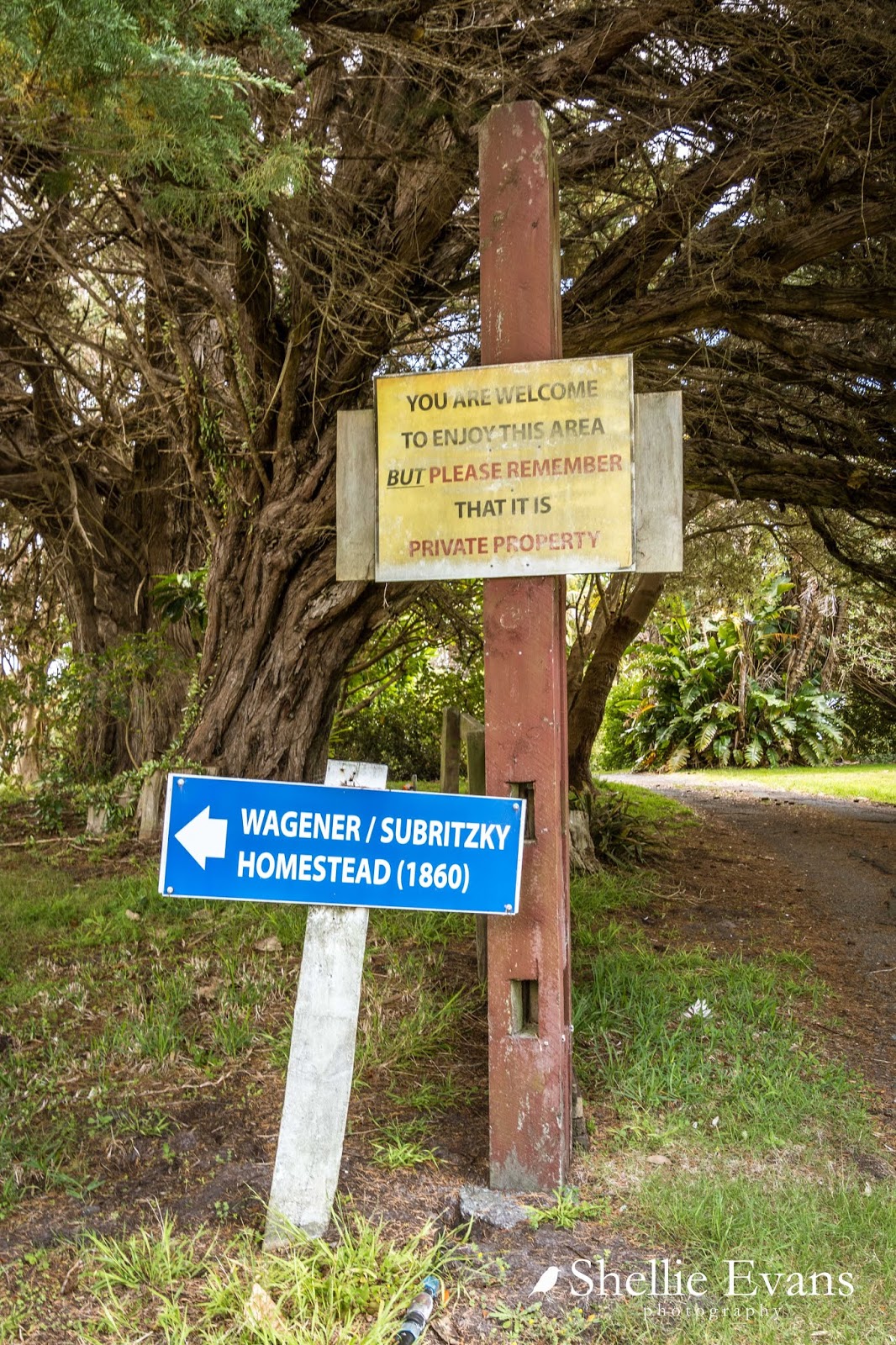 Two Go Tiki Touring: History at Houhora Heads