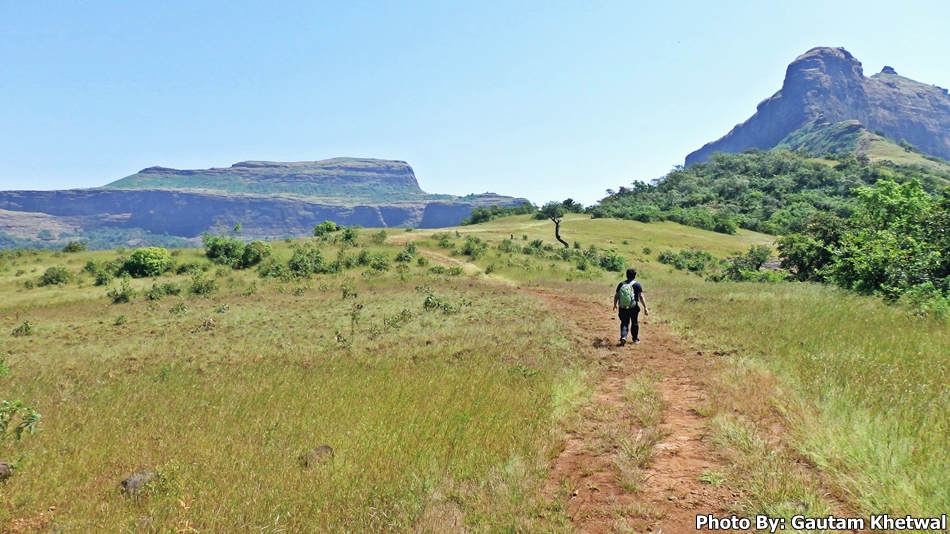Treks around Thane and Mumbai: Harihar Fort Trek, Trimbak, Maharashtra