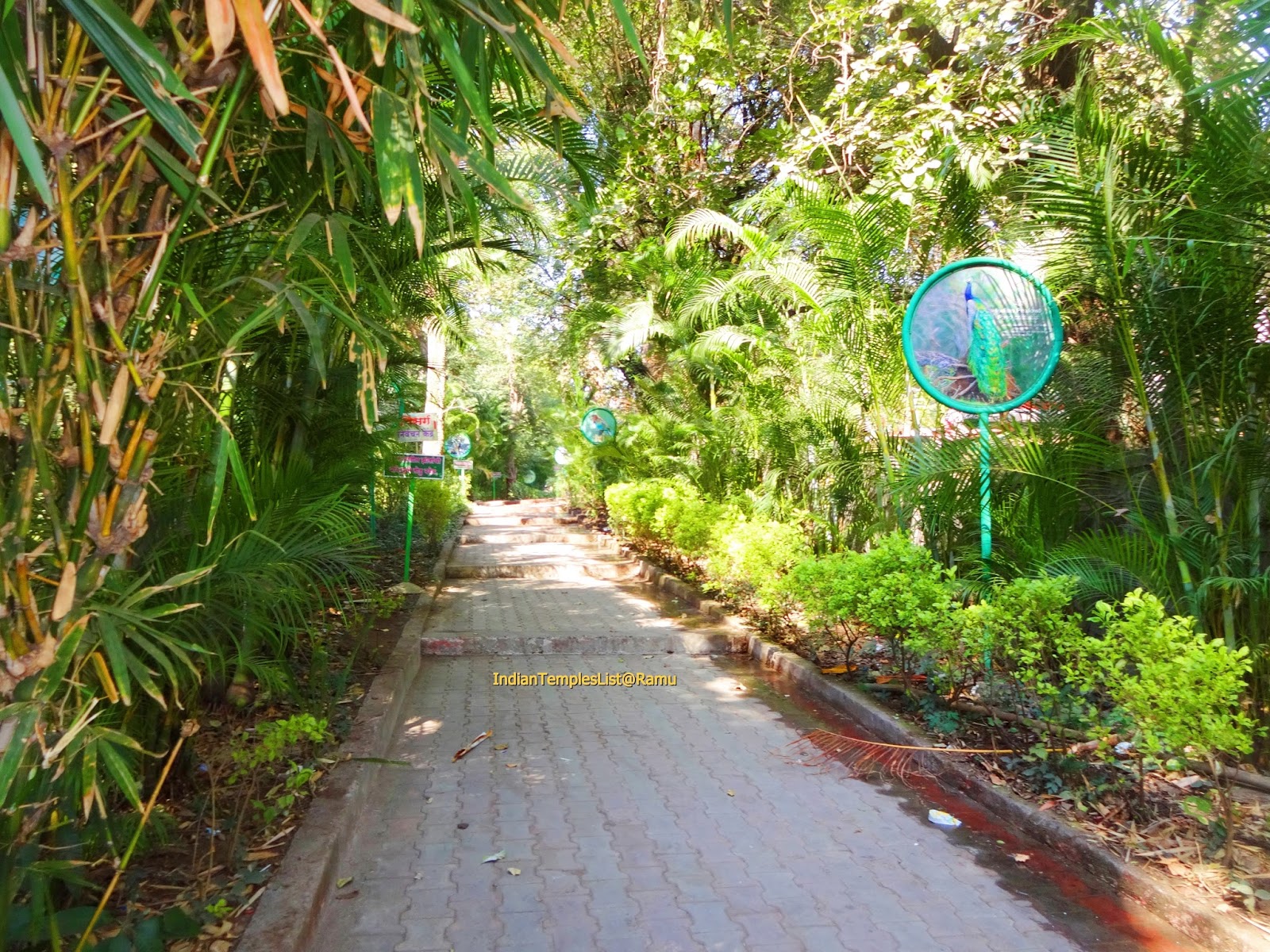 Baneshwar Mahadev Mandir in Nasrapur, Pune - Baneshwar Temple Timings ...
