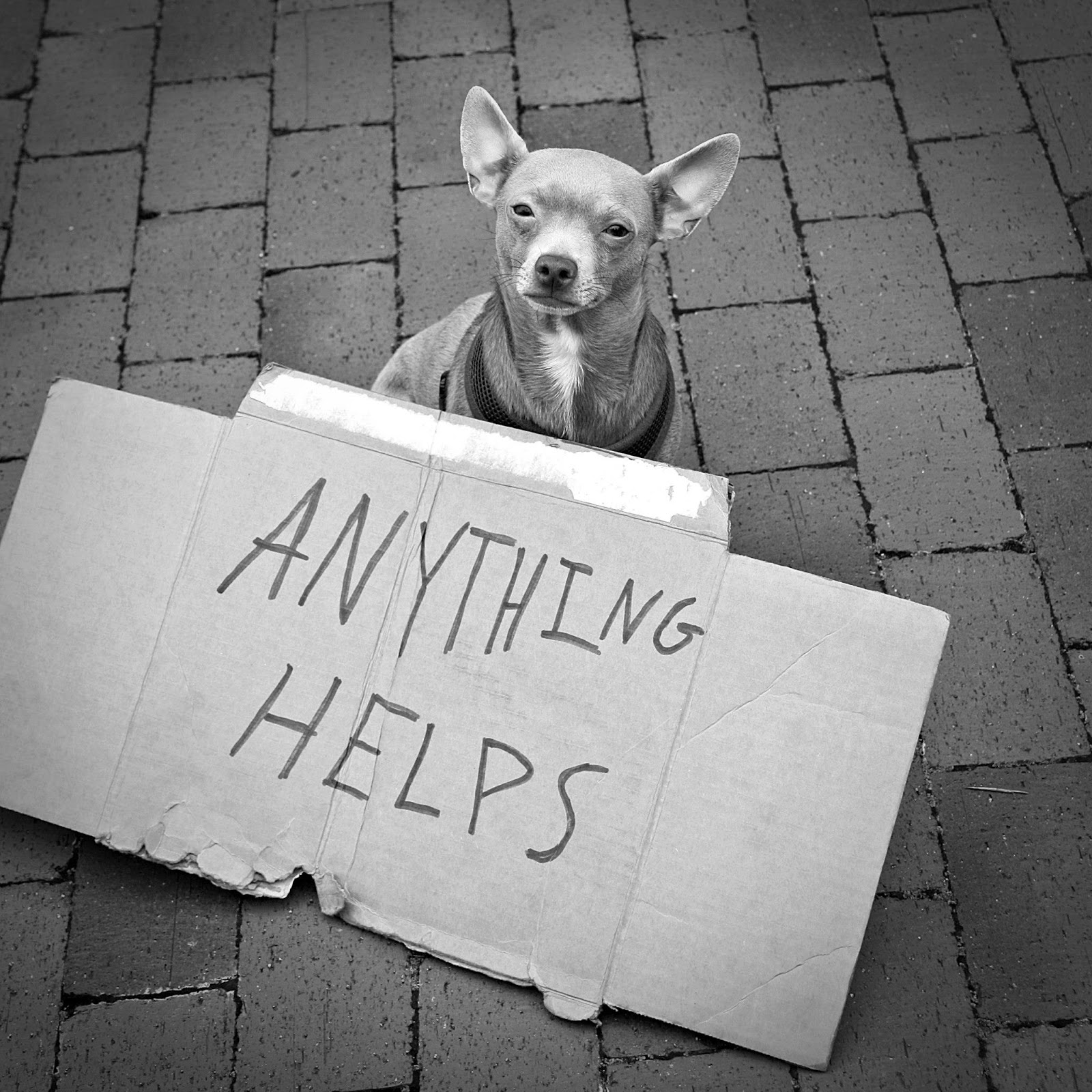 A Tattered Canvas: Anything Helps A Community Project