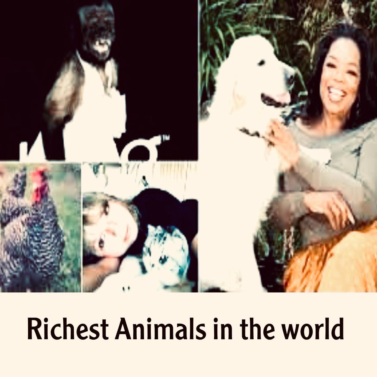 The ten richest animals in the world.