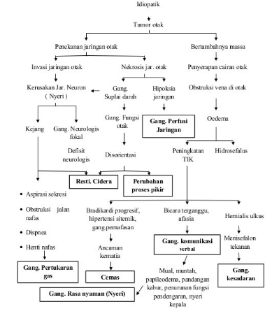 Laporan Pendahuluan Space Occupying Lession (SOL), download dalam ...