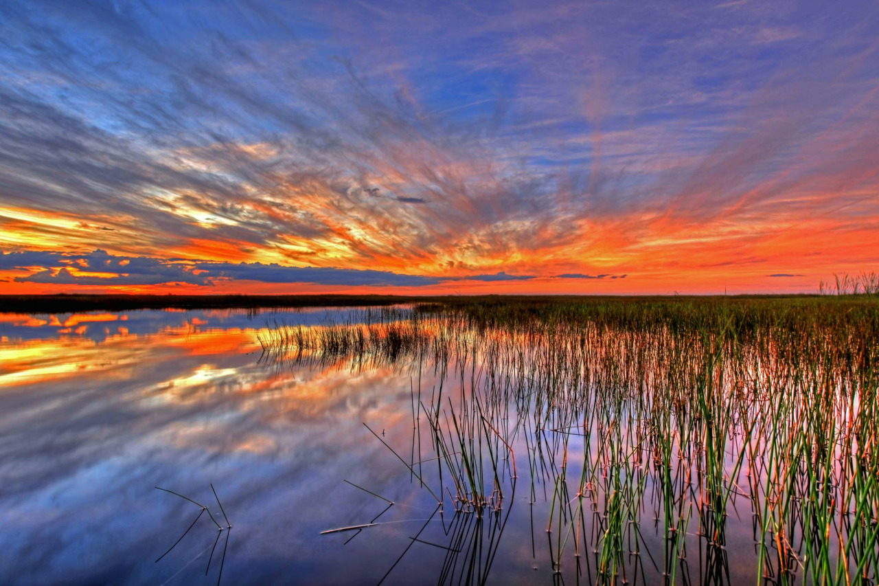 Everglades National Park | Earth Blog