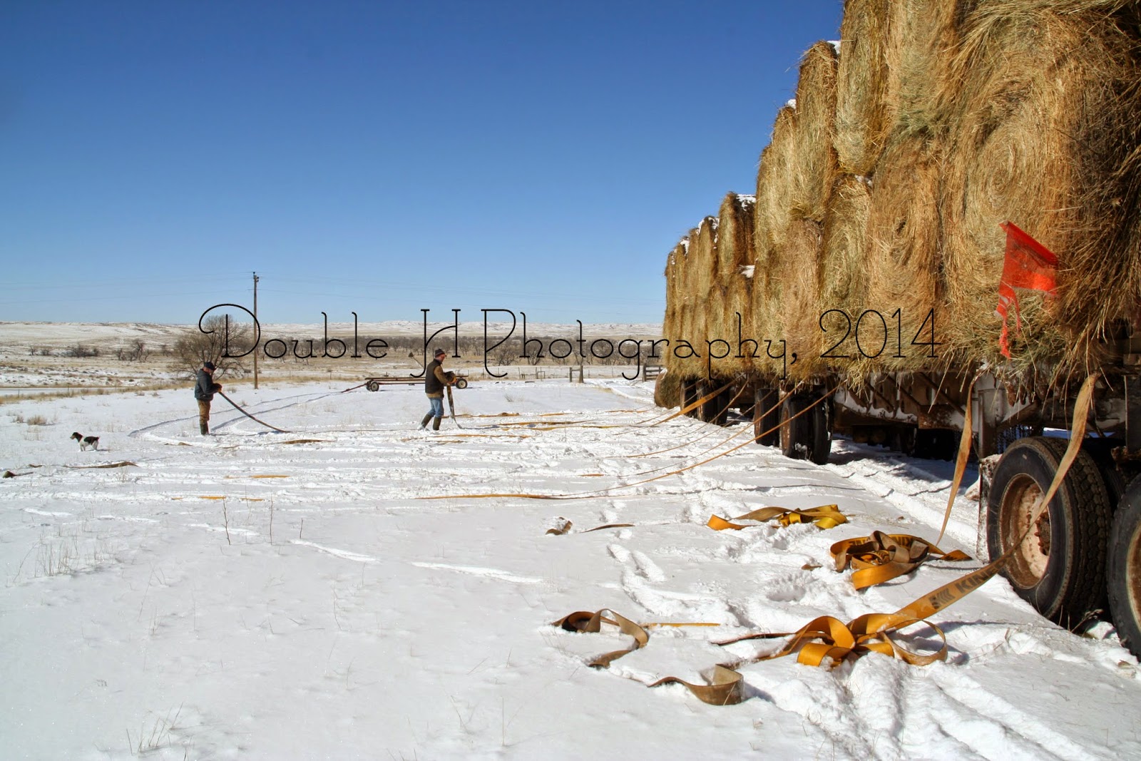 Double H Photography: Hauling Hay