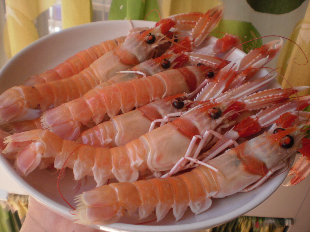 CIGALAS COCIDAS | Mi Cocina