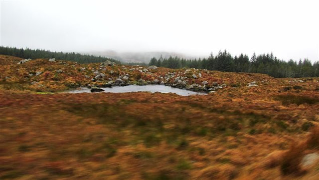 POSTCARDS FROM IRELAND: CONNEMARA Cloosh Forest