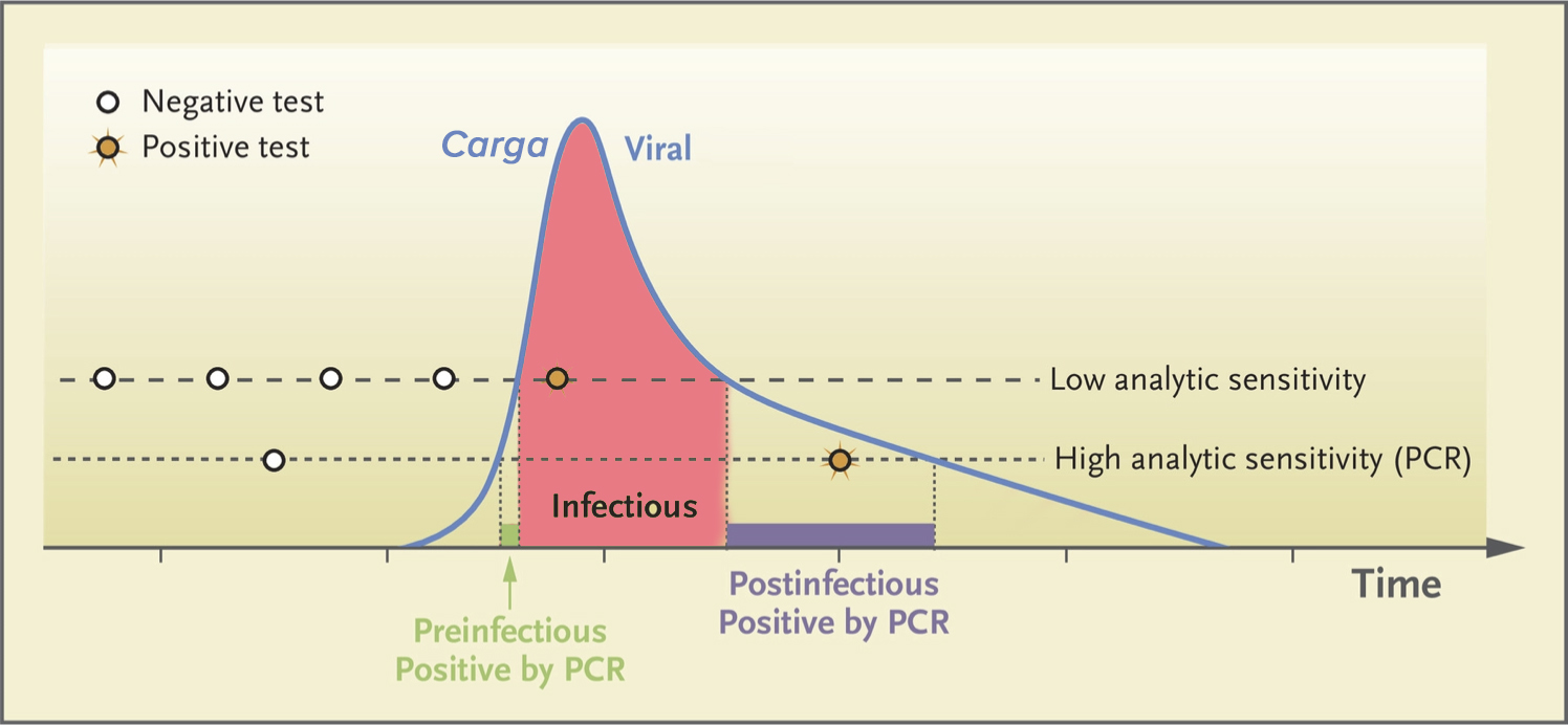 JAS vida futura: ¿Es necesario hacer PCR masivos?