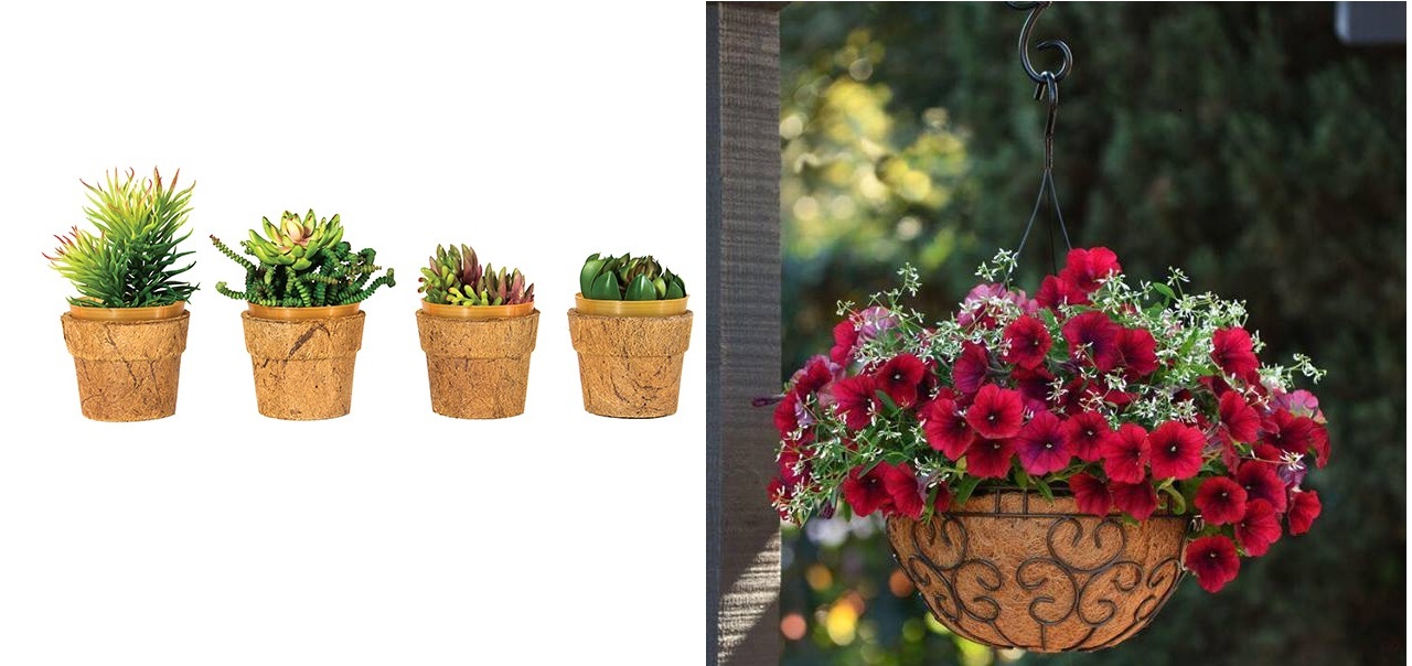 BENEFITS OF COCONUT POTS