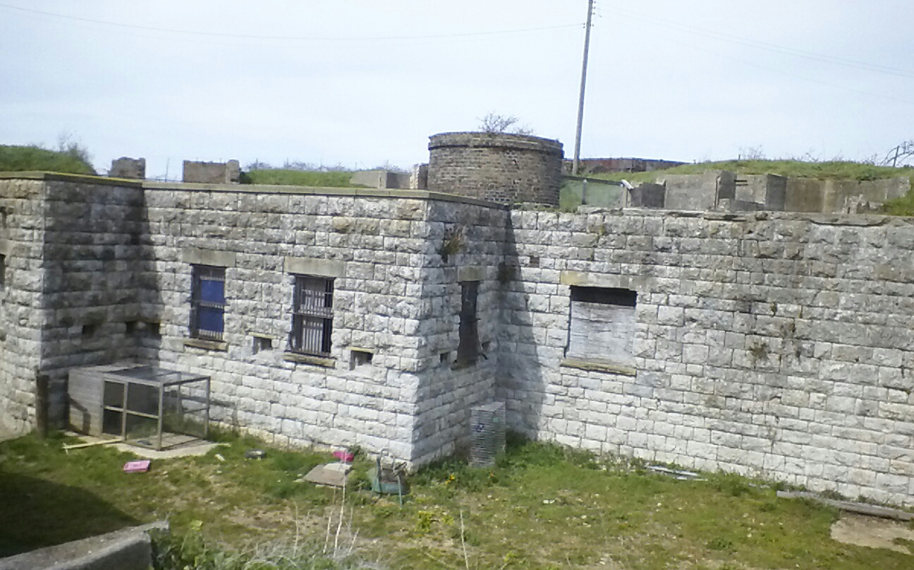 Prince Vulpine: Forts And Foreshores: The Confluence