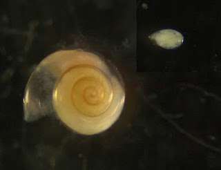 Born this way: part 2