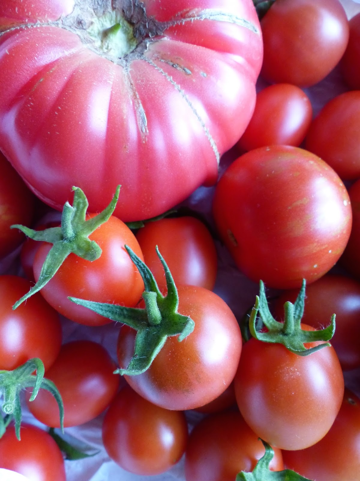 What's cooking?: Sunset Tomato Sauce and Worrying