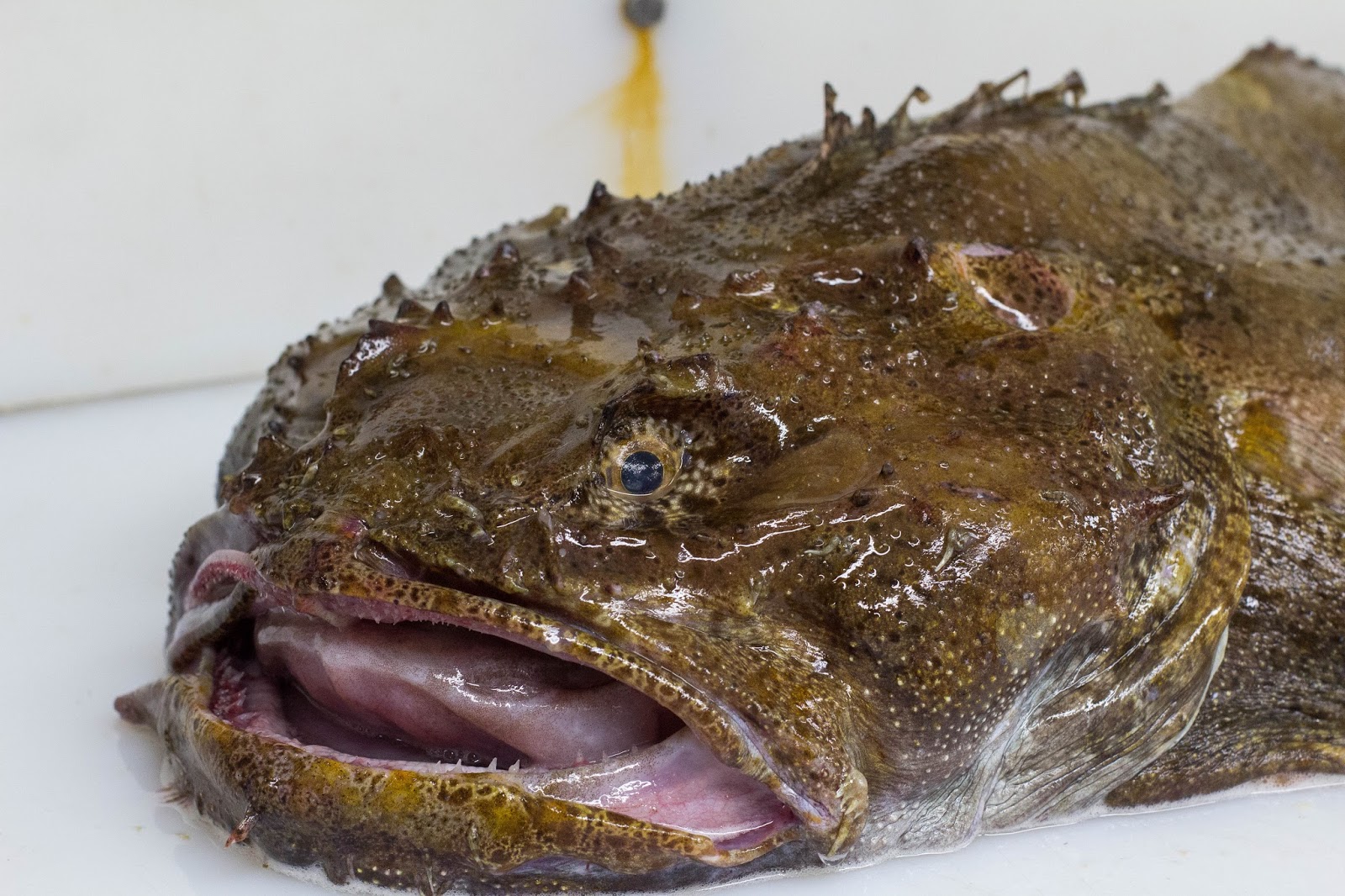 Conservation and Clarity