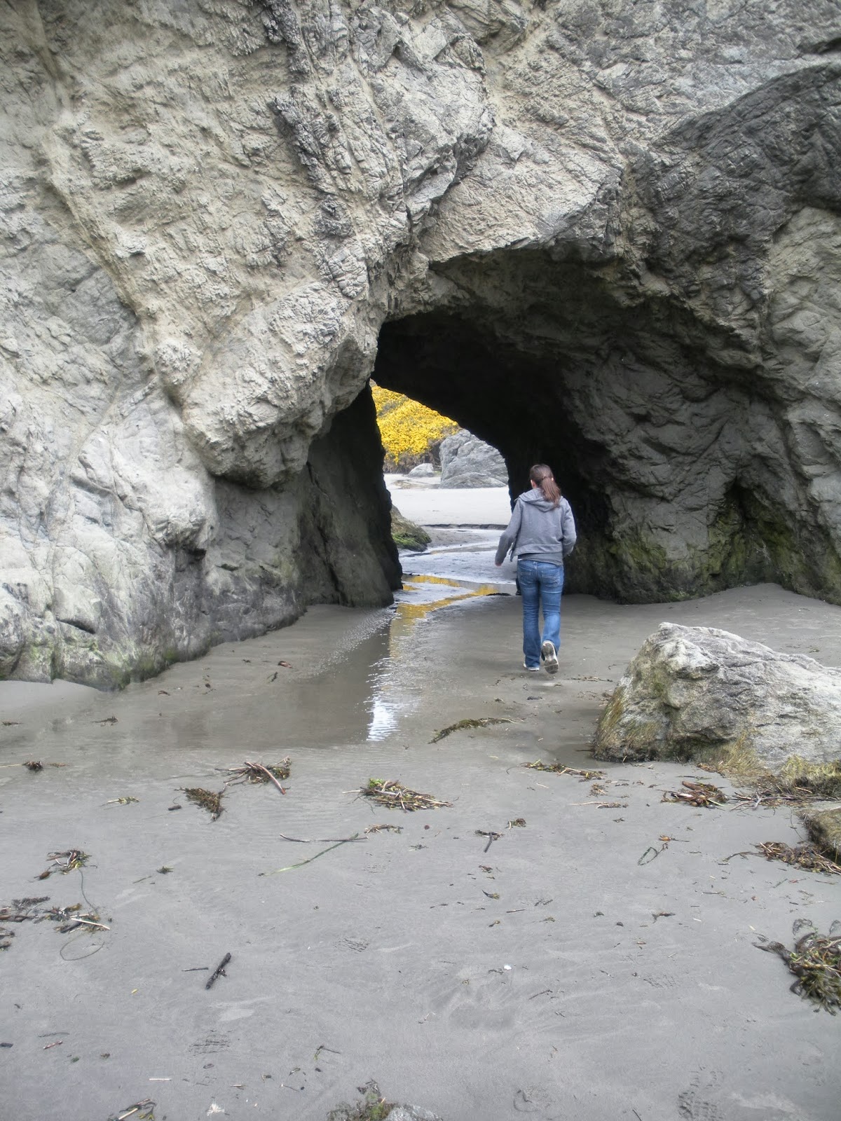 Visiting Oregon Travel Highlights: The South Oregon Coast: Mystery ...