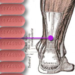 TAKE BACK THE HILL: So Lisa Bardack, Hillary's Good Doctor, You are ...