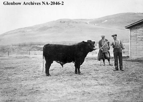 Heroes, Heroines, and History: Alberta's Edward Prince Ranch