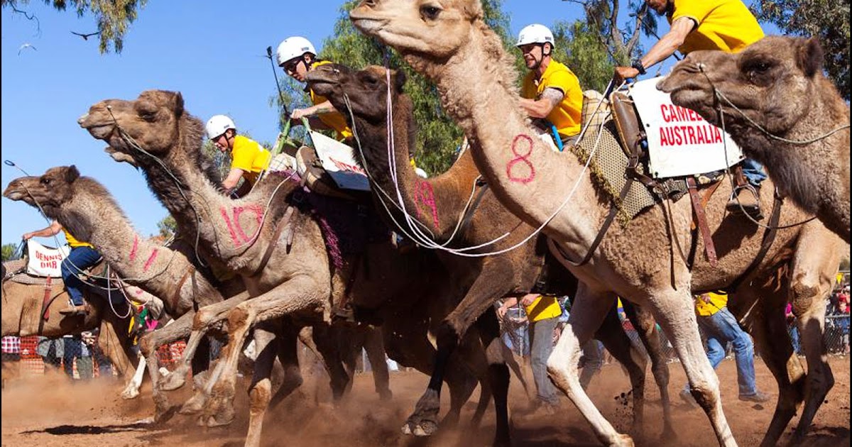 Buckles Blog: RACES #3