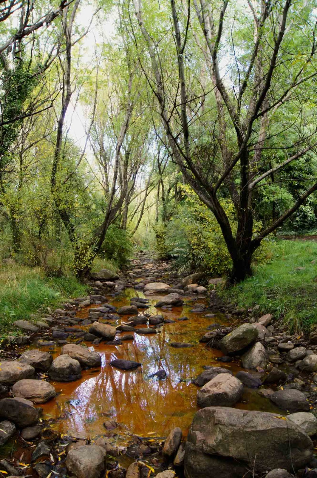 Fotografoalnatural: Arroyo