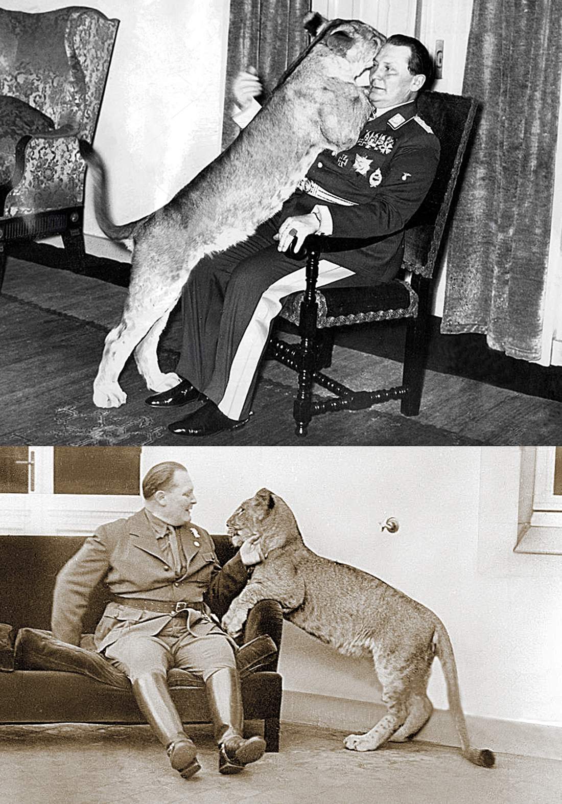 Kerry Bolton - Bienestar Animal en el Tercer Reich - Stormfront