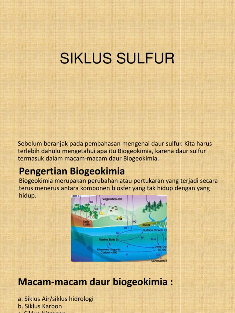 siklus sulfur - wood scribd indo
