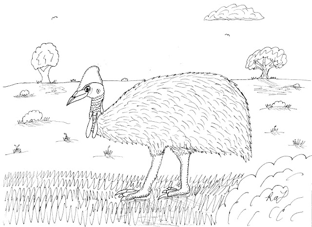 Robin's Great Coloring Pages: Birds of Australia Coloring Pages