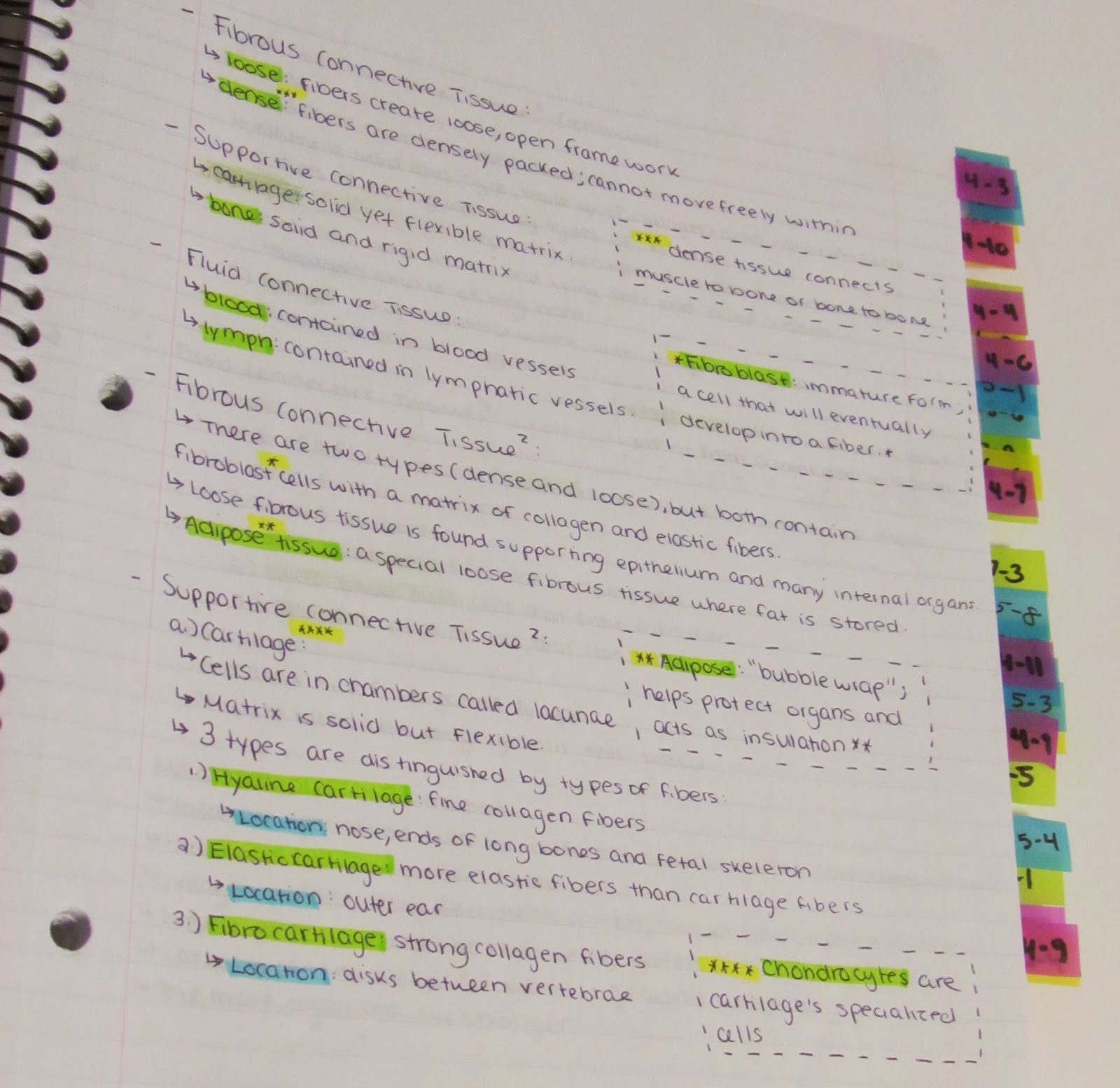 Note-taking For Dummies — life according to francesca