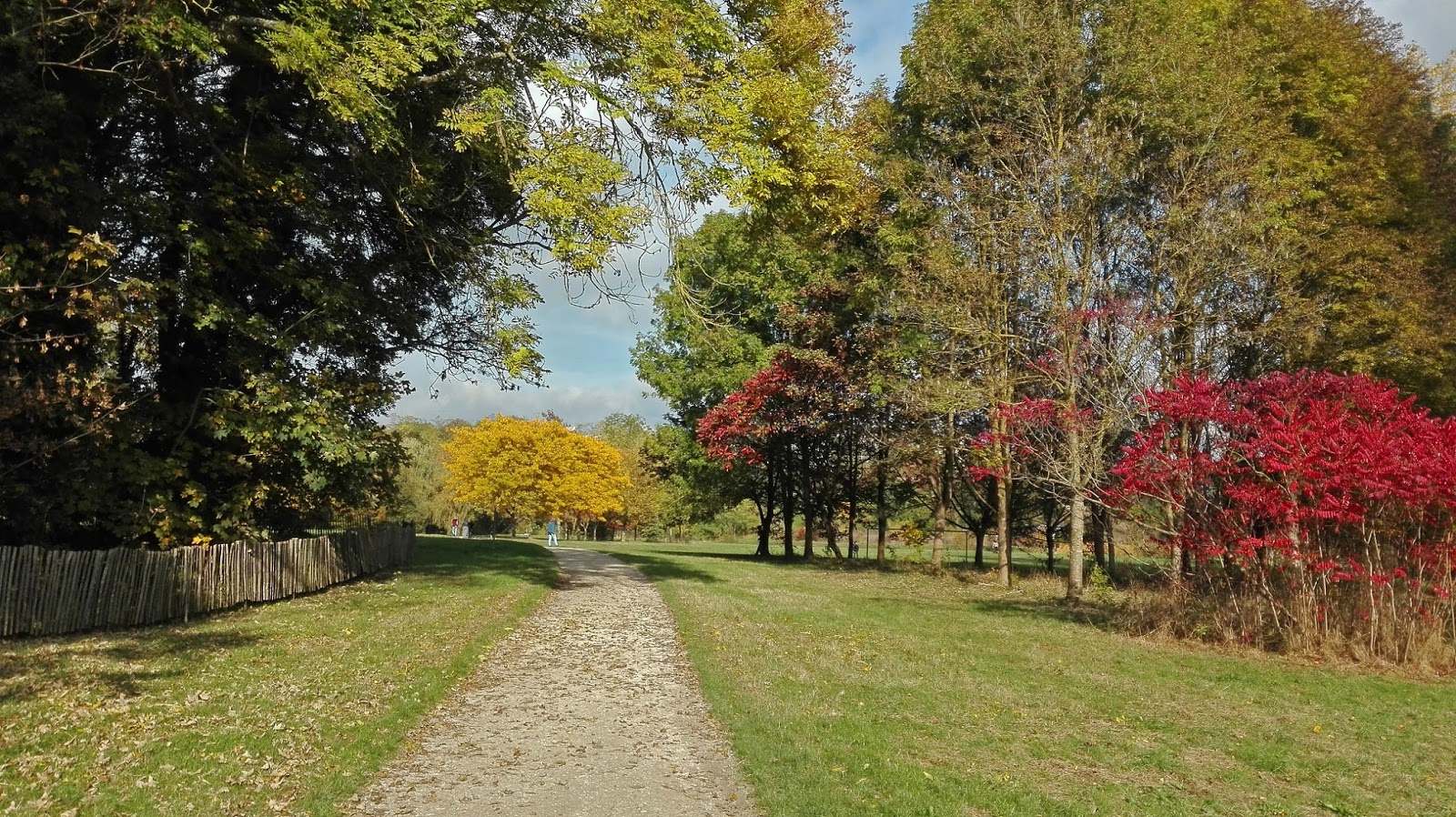 Charmes méconnus du Hurepoix .: IMAGES D'AUTOMNE AU PARC DE MORSANG SUR ...