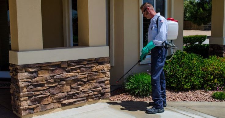 How Pest Control Helps In Protecting Your Family And Home? - My Poll Ux ...